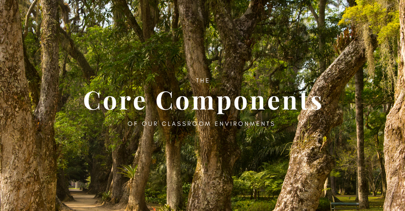 Classroom Components - Little Owl Learning Centre