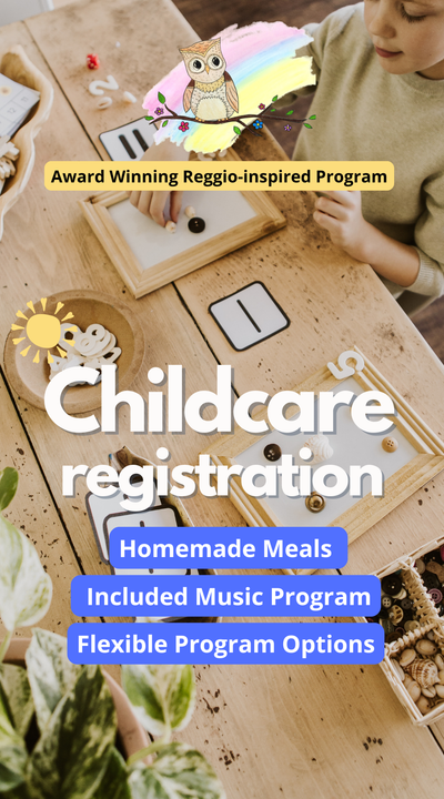 Daycare and Childcare Programs | Little Owl Learning Centre